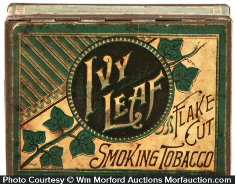 Ivy Leaf Tobacco Tin • Antique Advertising